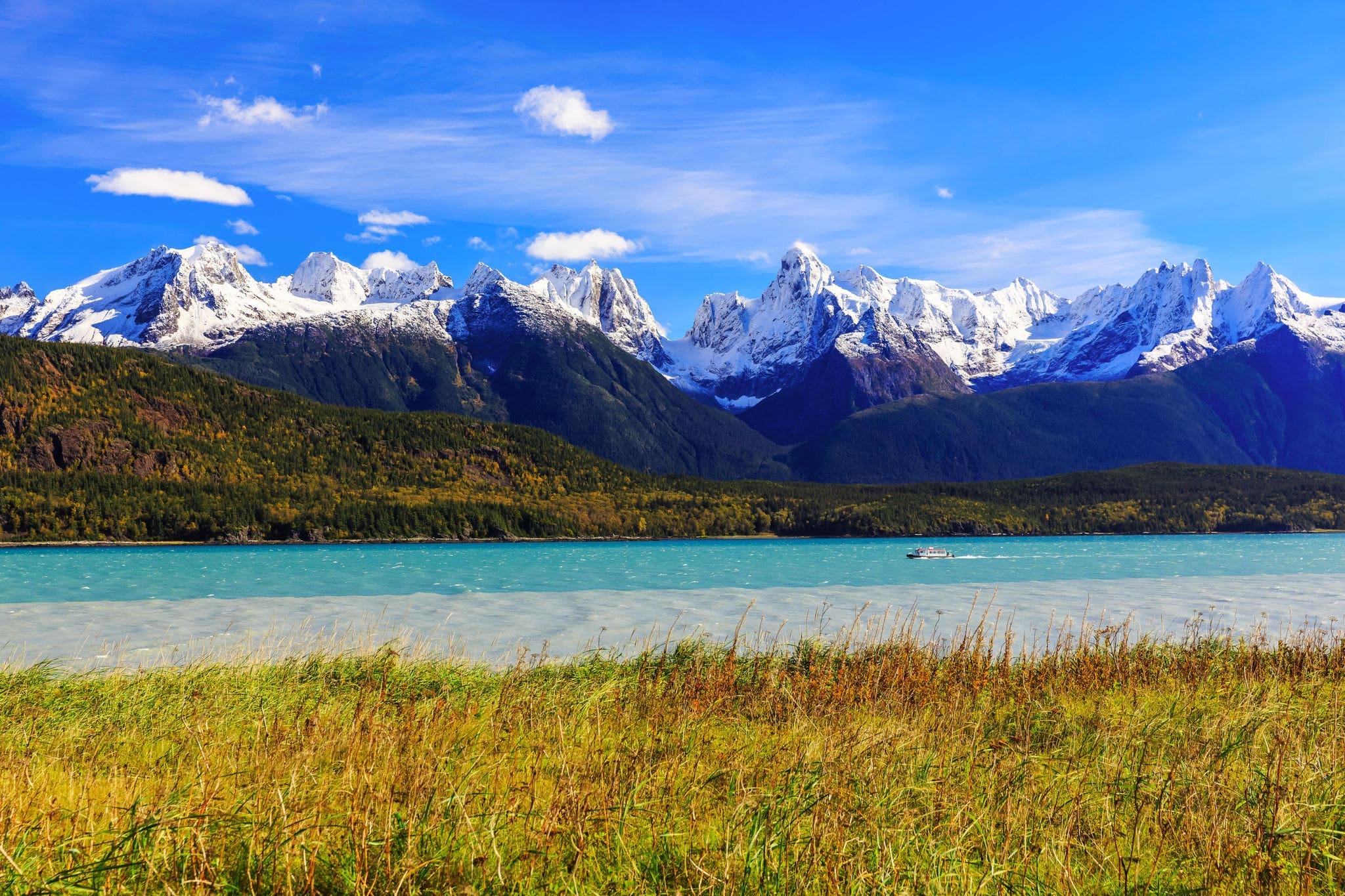 Viking adds new virtual trade sessions - Cruise Monitor