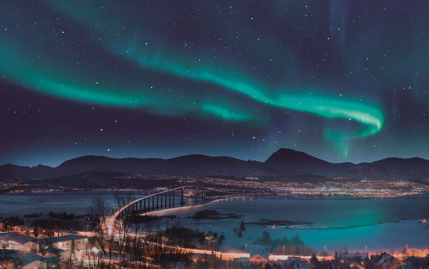 Hurtigruten halves fares for travelling companions - Cruise Monitor